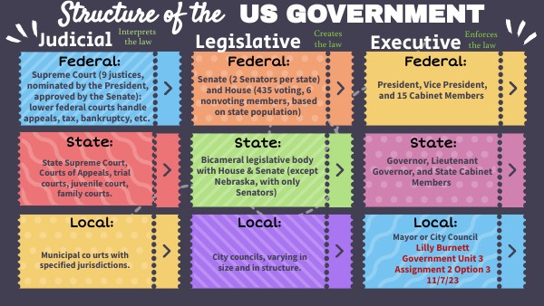 3 Branches of Government Assignment