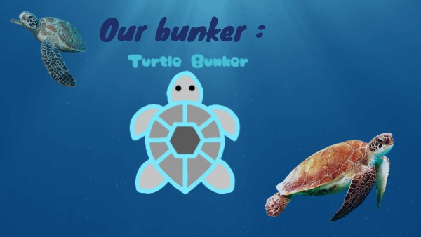 Turtle Bunker Presentation