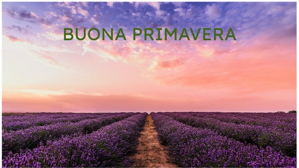 la primavera