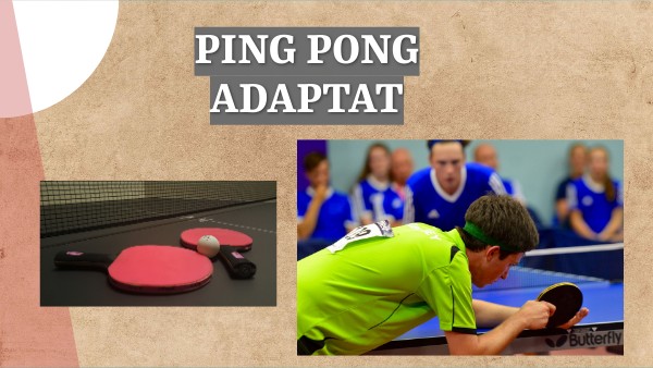 PING PONG ADAPTAT