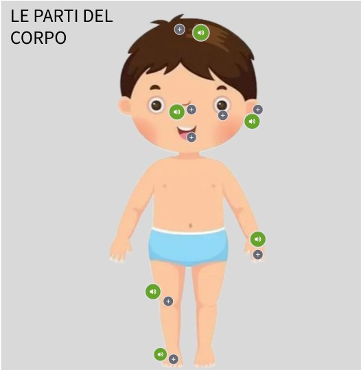 LE PARTI DEL CORPO