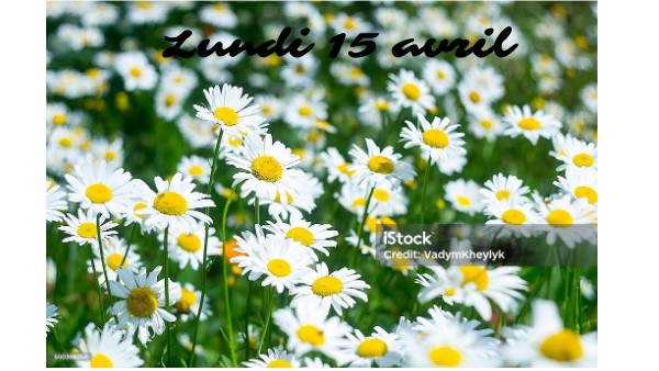 Lundi 15 avril