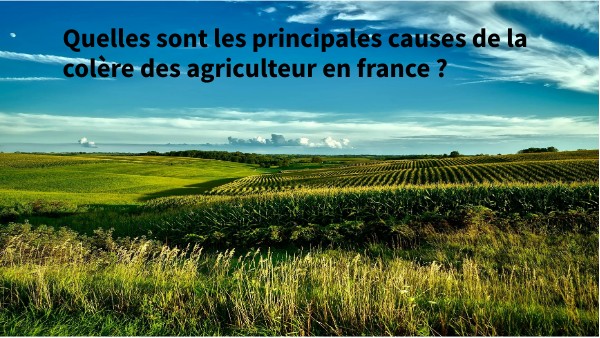 Présentation essentielle