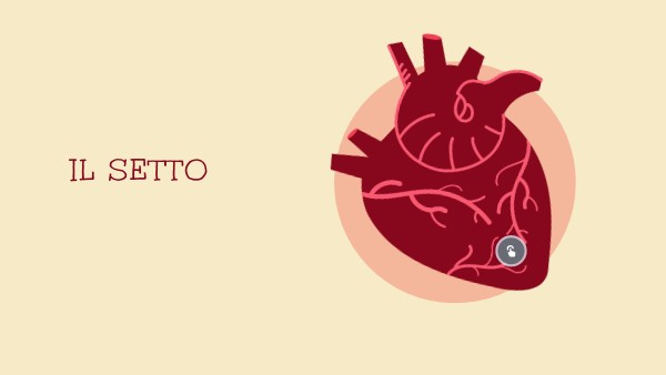 setto cuore | Genially