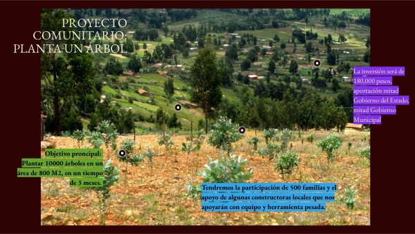 Proyecto Comunitario | Genially