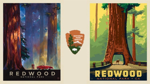 RedWood National Park | Genially