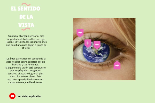 EL SENTIDO DE LA VISTA