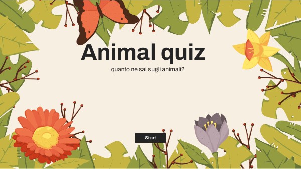 Quiz minimal
