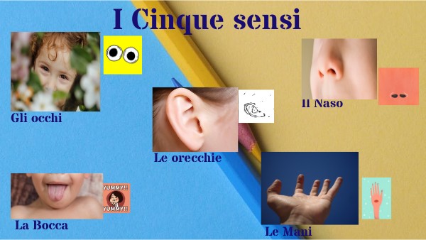 I cinque sensi | Genially