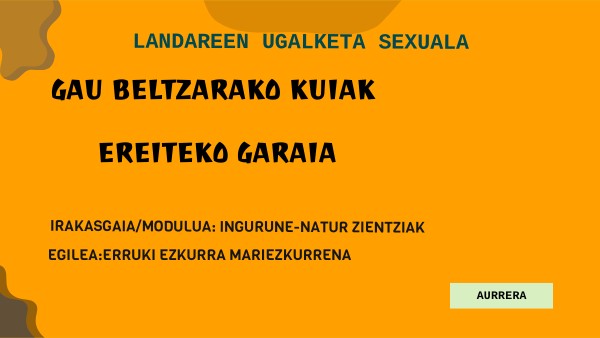 LANDAREEN UGALKETA | Genially