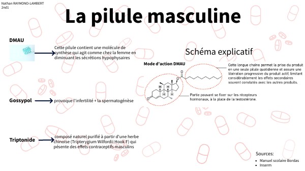 La pilule masculine