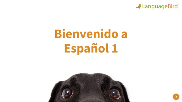 Spanish 1 - Unit 1 | Genially