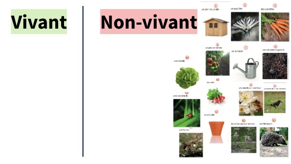 Vivant-Non-vivant | Genially