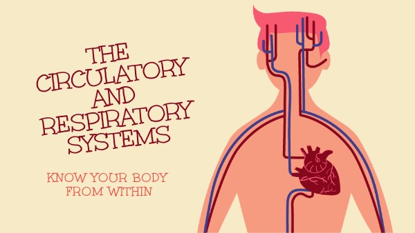 5.2 Circulatory and Respiration Systems | Genially