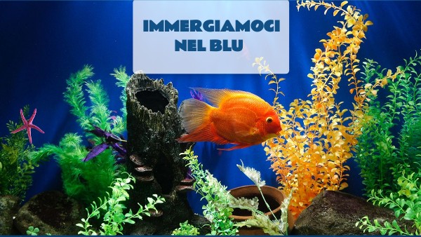 Immergiamoci nel blu
