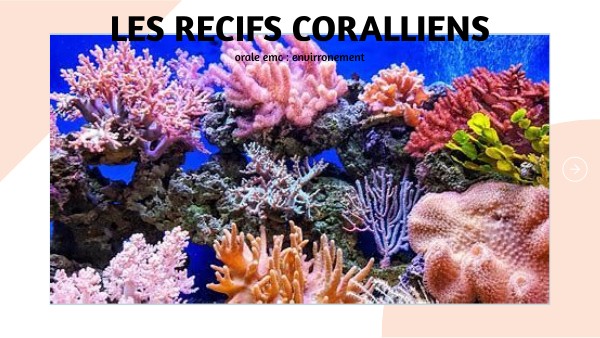 Les récifs coralliens Le vraie | Genially