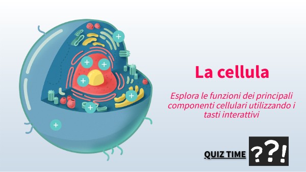 La cellula - immagine interattiva | Genially
