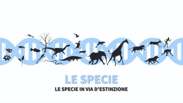 LE SPECIE