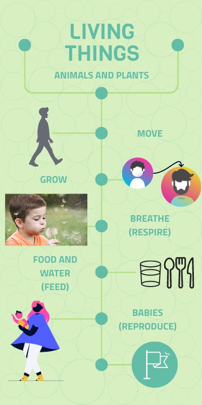 LIVING THINGS infographic | Genially