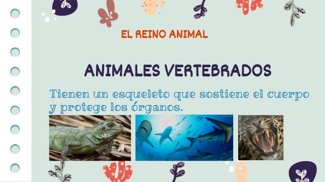 Animales Vertebrados