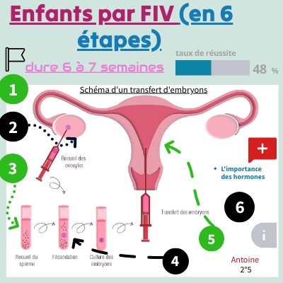 Les étapes de la FIV