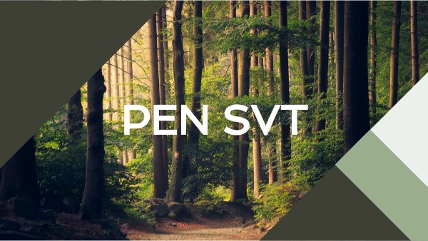 PEN SVT