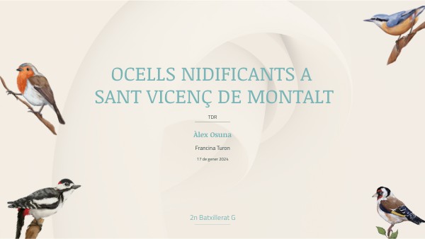 Ocells nidificants SVM