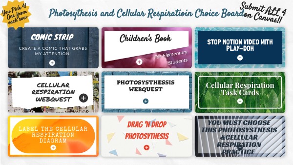 photosynthesis and respiration CHOICE BOARD | Genially