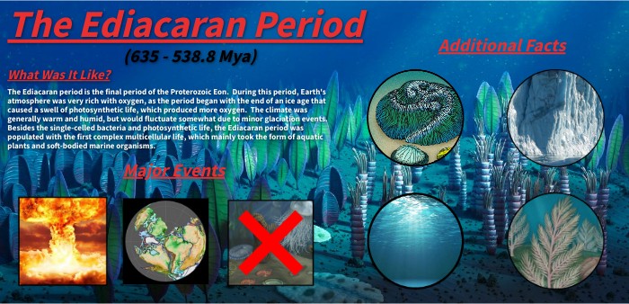 Ediacaran Period Presentation | Genially