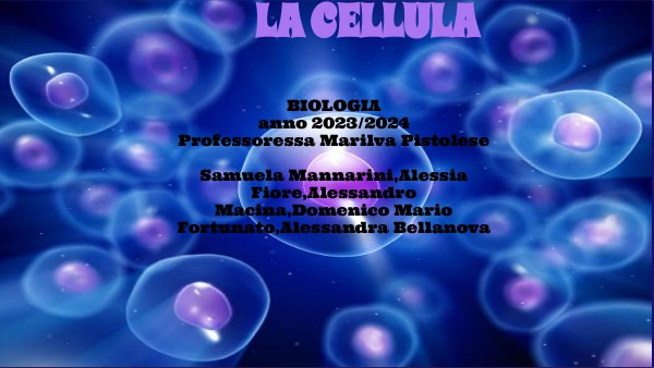 PARTS OF A PROKARYOTIC CELL | Genially