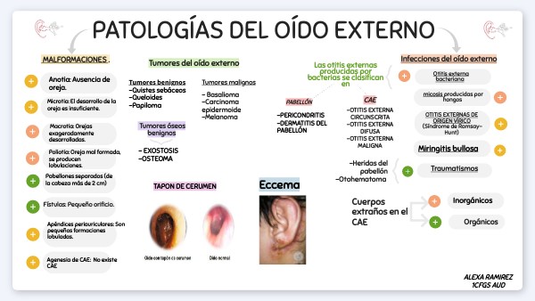 MAPA MENTAL OIDO EXTERNO_AR