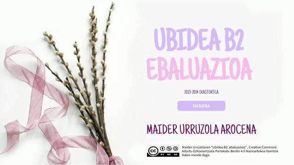 UBIDEA B2 PORTFOLIOA