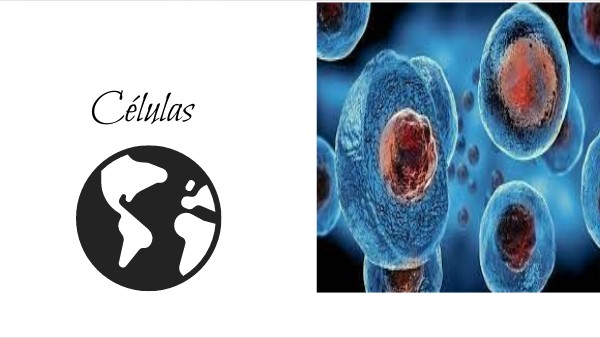 Microscópio _ Célula Animal e Célula Vegetal