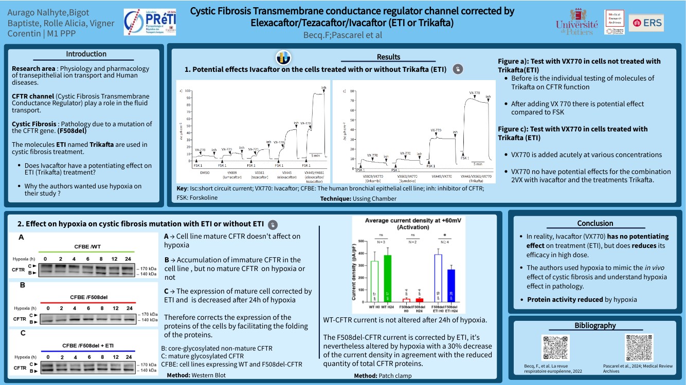 Poster English | Genially