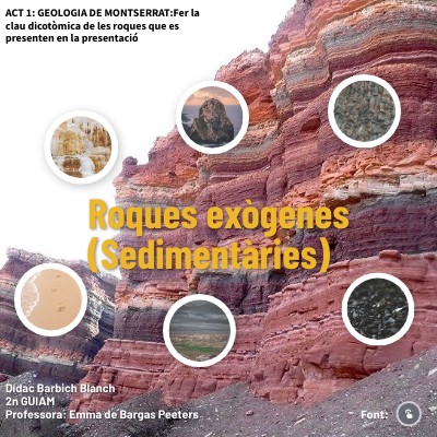 Roques exògenes (sedimentàries) | Genially