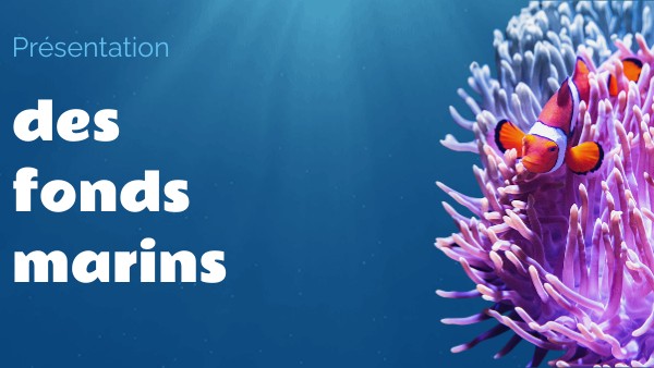 Présentation des fonds marins