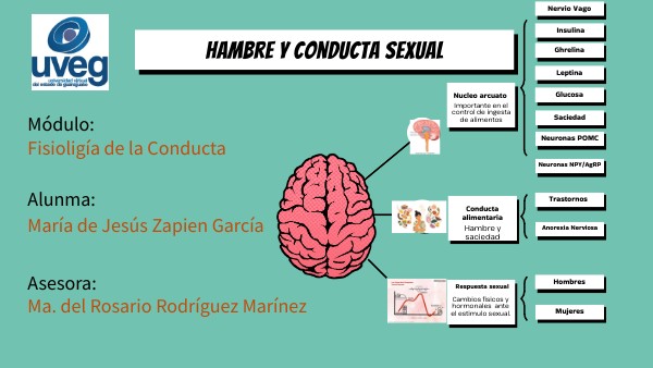 Reto 3 Hambre y Conducta Sexual MarcZaGa | Genially