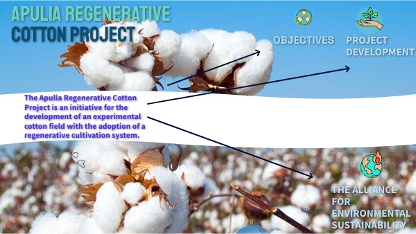 Apulia Regenerative Cotton Project