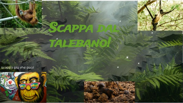 scappa dall'imbecille