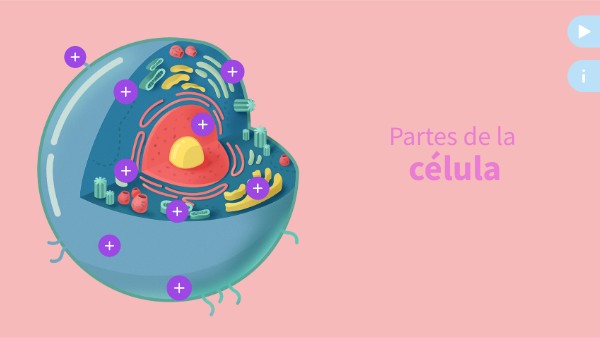 Póster interactivo célula