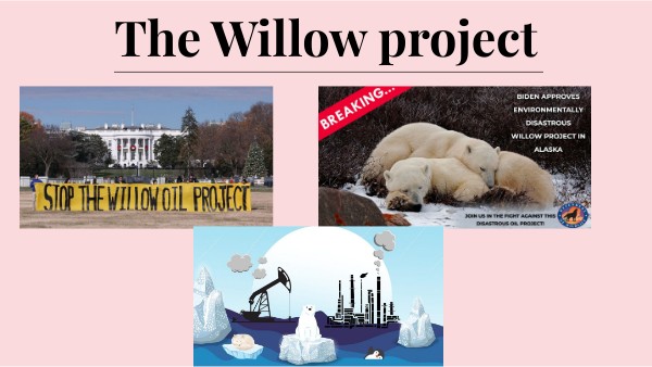 willow project