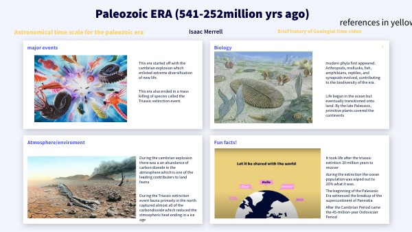 Paleozoic era
