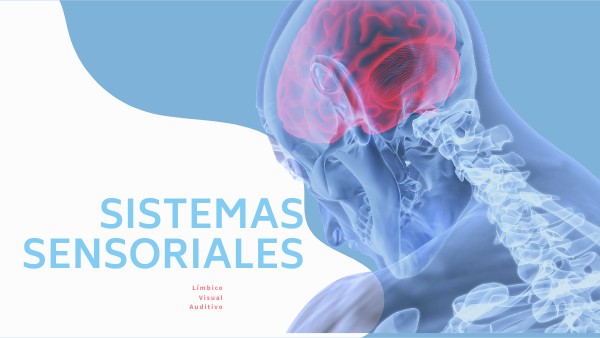 Sistemas sensoriales | Genially