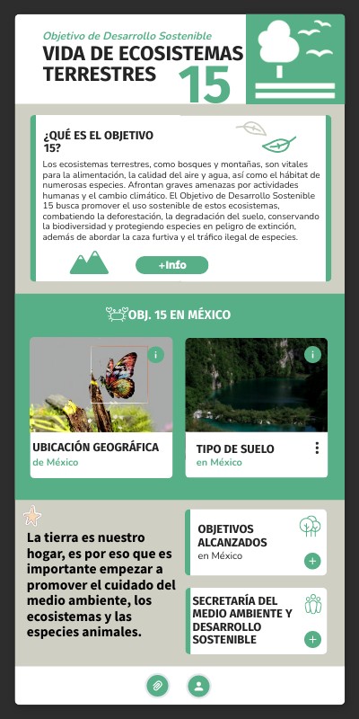 Infografía obj. 15 en México | Genially