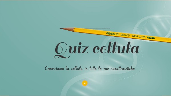 NOTEBOOK QUIZ | Genially