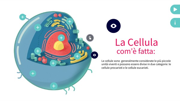 Poster interattivo cellula | Genially