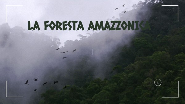 Amazon Rainforest | Genially