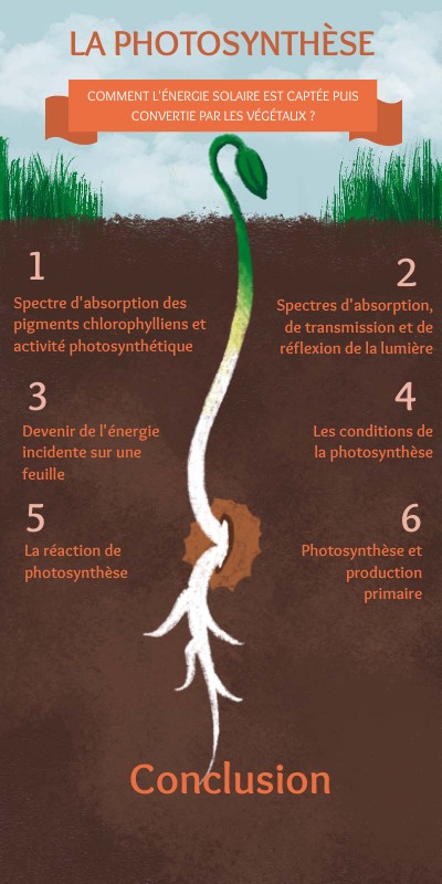 photosynthèse | Genially