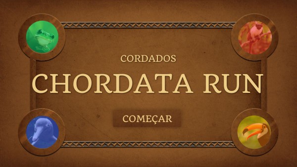 Chordata Run | Genially