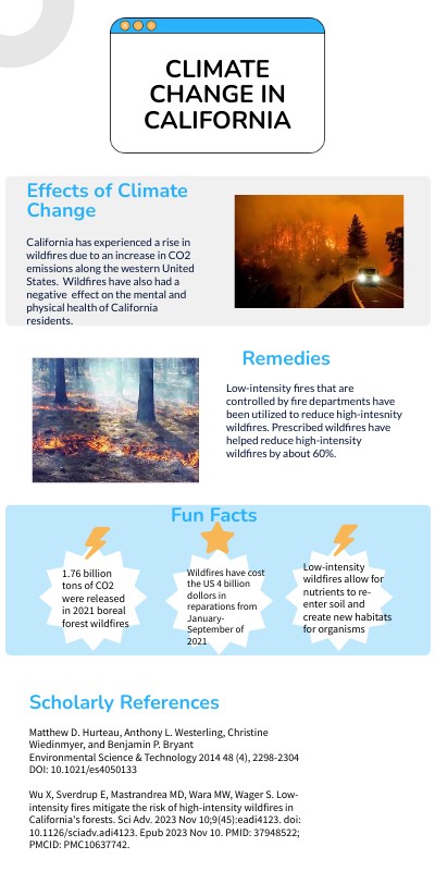 Climate change mini research project | Genially